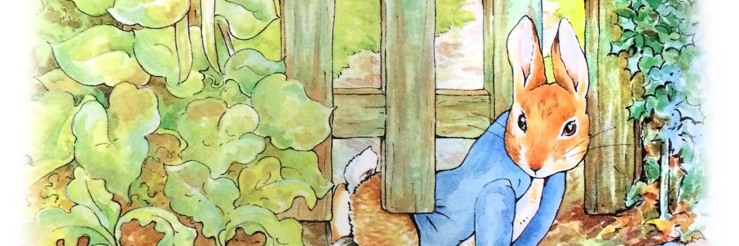 Events | Moonee Valley Libraries