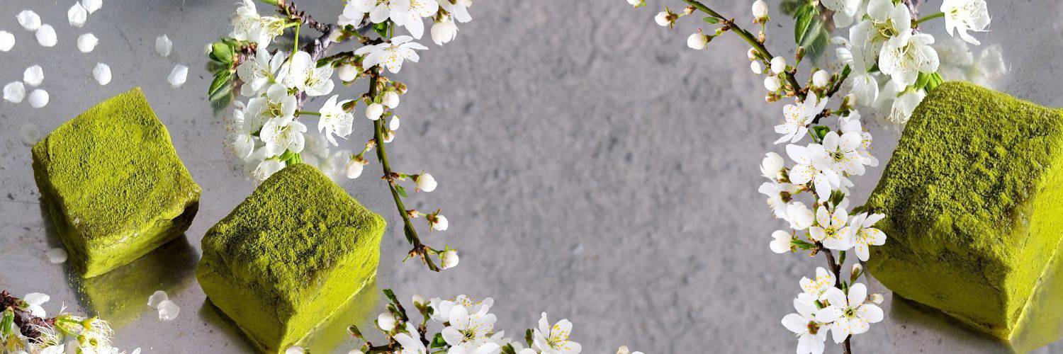 Events & Bookings | Cockburn Libraries