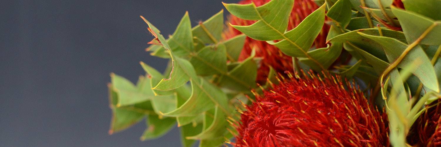 Events | Kingston Libraries