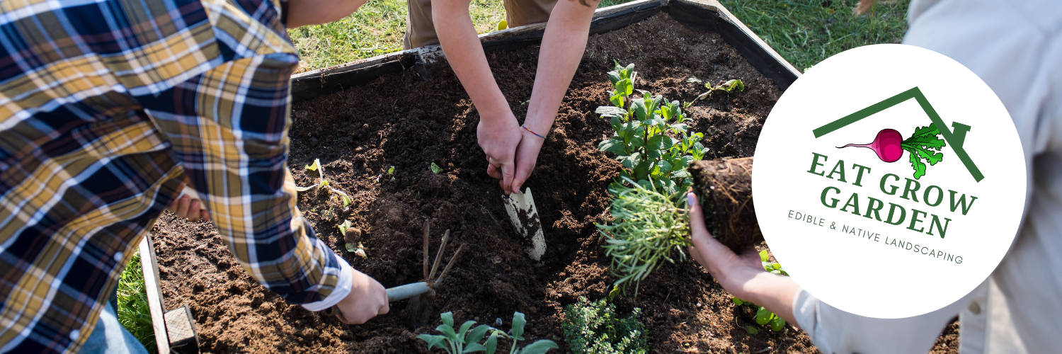Kids Gardening Workshop: Life of a Veggie | Melton Libraries