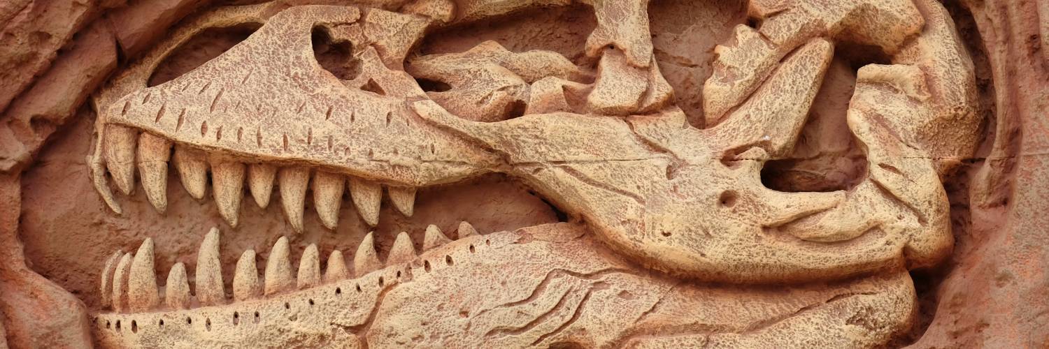 Events | Somerset Libraries